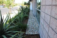 Buff Beach Pebbles Wholesale | Bulk Stone Supply