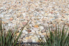 Buff Beach Pebbles Wholesale | Bulk Stone Supply