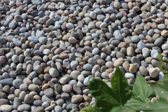 Buff Beach Pebbles Wholesale | Bulk Stone Supply