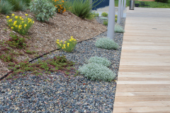 La Paz Beach Pebble Gallery | Aesthetic Stones for Landscaping
