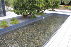 La Paz Beach Pebble Gallery | Aesthetic Stones for Landscaping