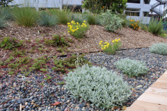 La Paz Beach Pebble Gallery | Aesthetic Stones for Landscaping