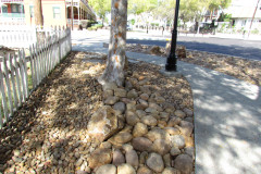 Sunburst Pebbles Gallery | WSS