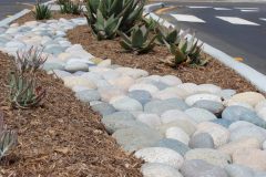 Explore Mixed Beach Pebbles | WSS
