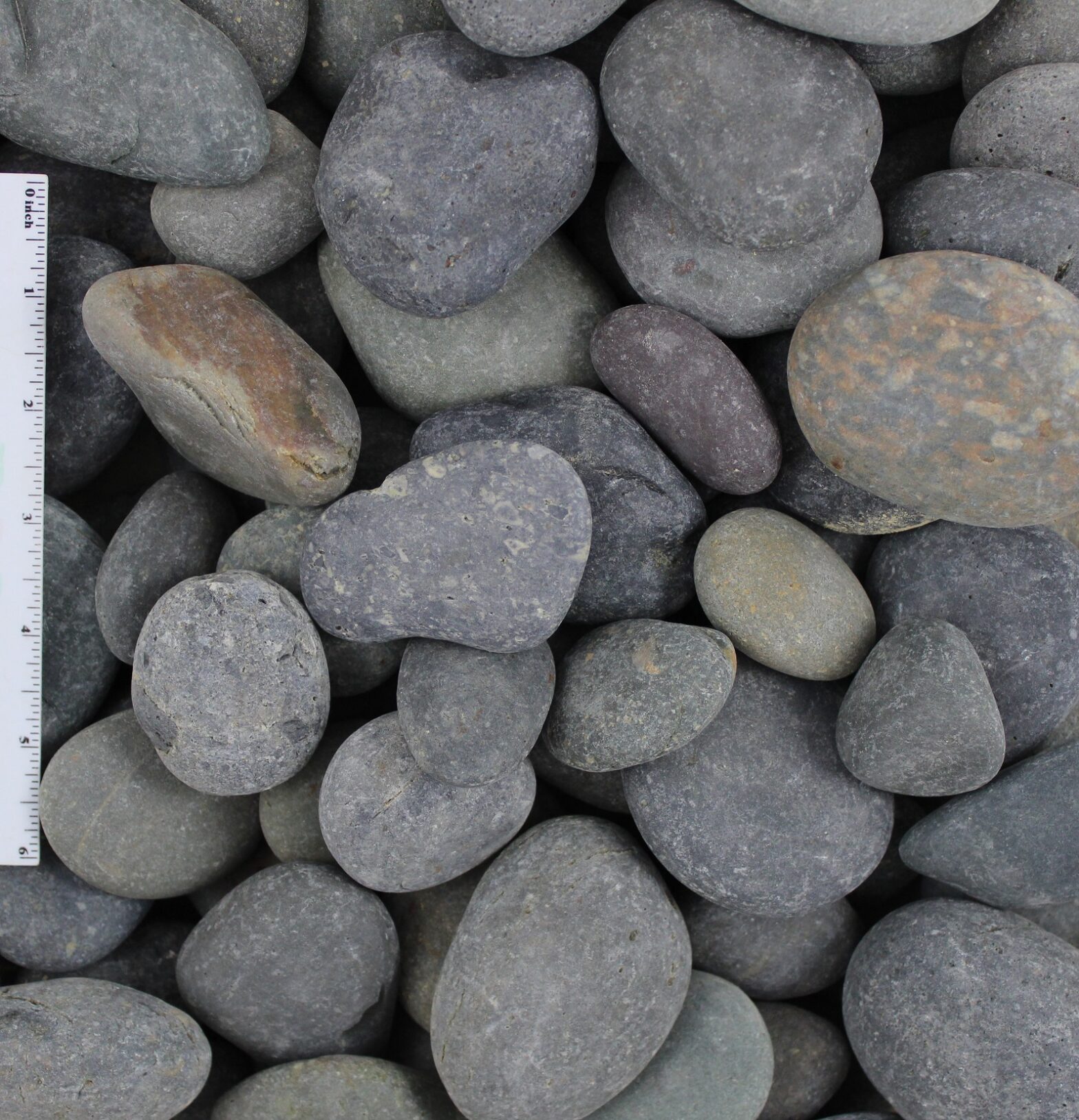 Black Beach Pebble - 1 to 2 inch