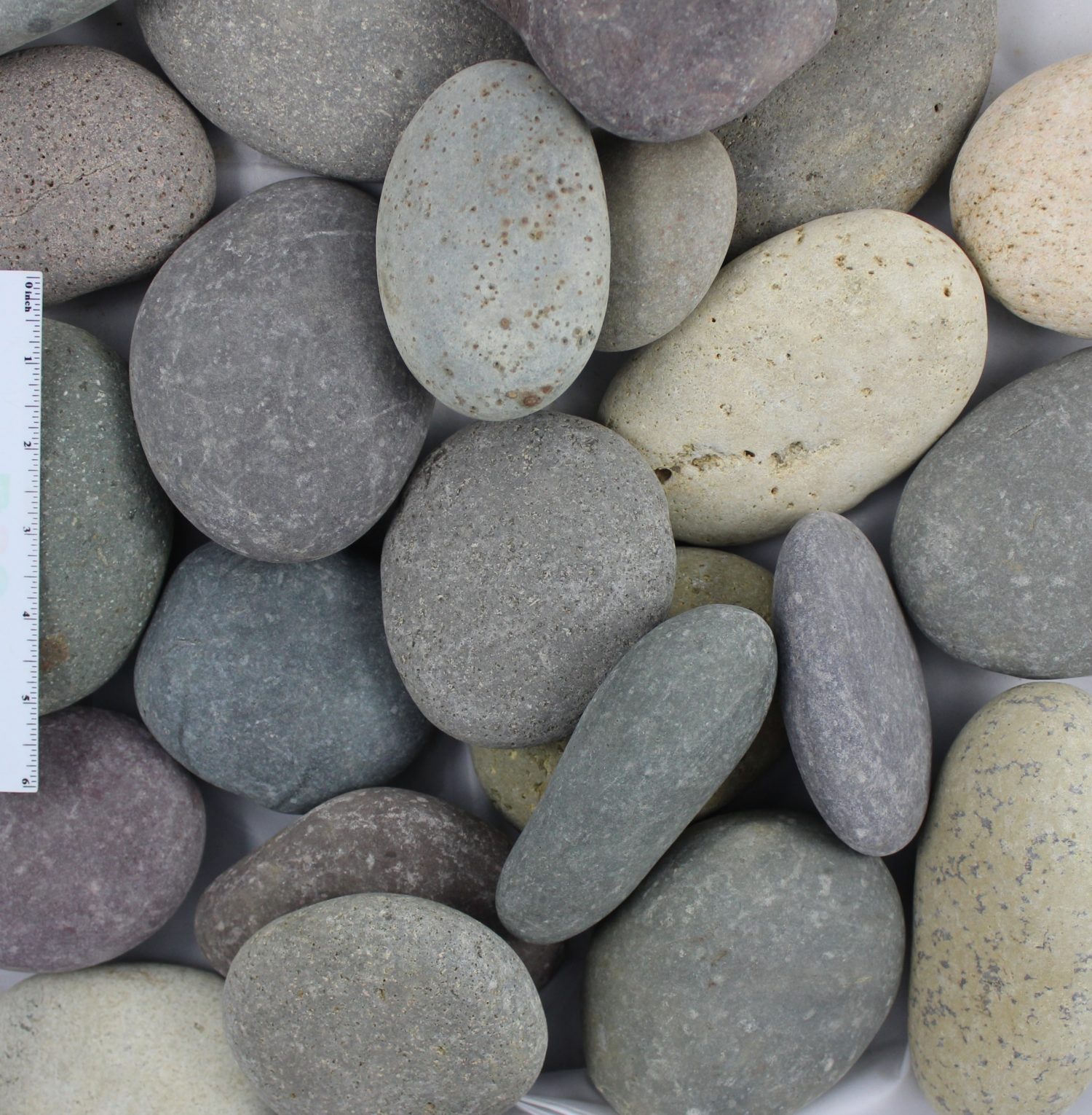 Mixed Mexican Beach Pebble | Wholesale Stone Solutions