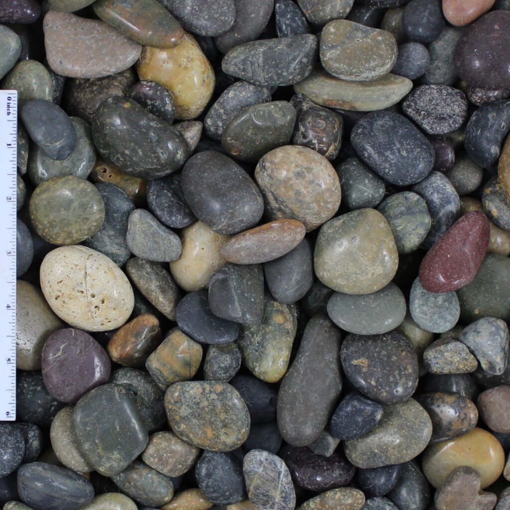 Buy Mexican Beach Pebbles: Polished Variety |WSS