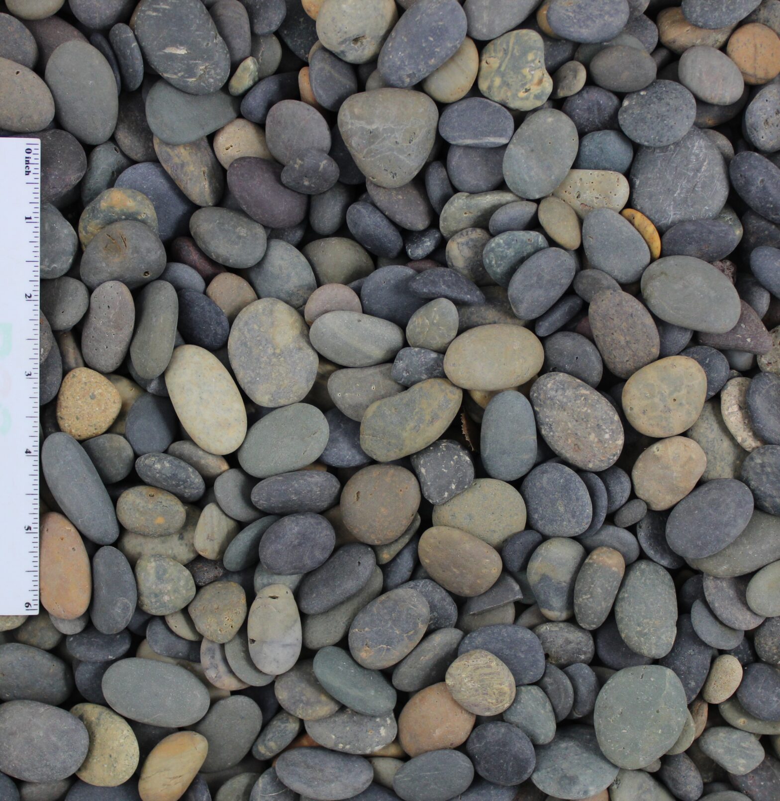 Buy Beach Pebble Buttons - Wholesale Stone Solutions
