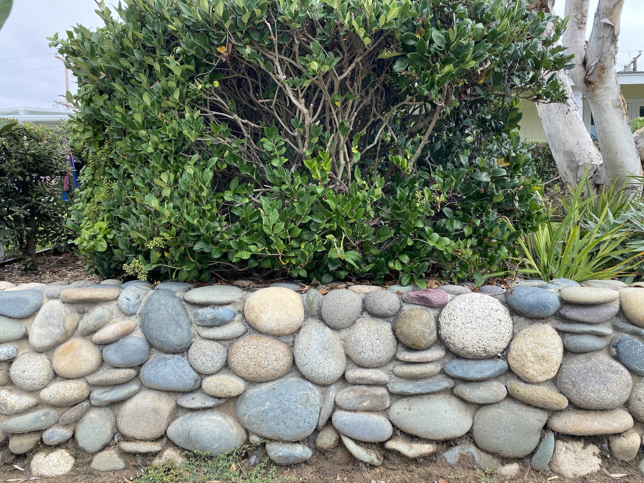 High-Quality Mexican Beach Pebbles & Landscape Stones | WSS
